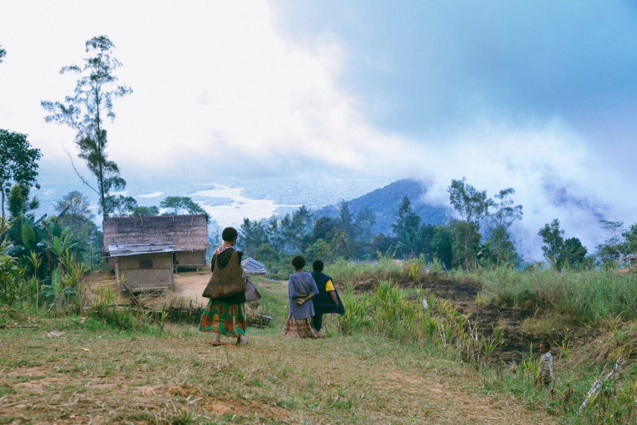 Planted in Prayer - Pioneer Bible Translators